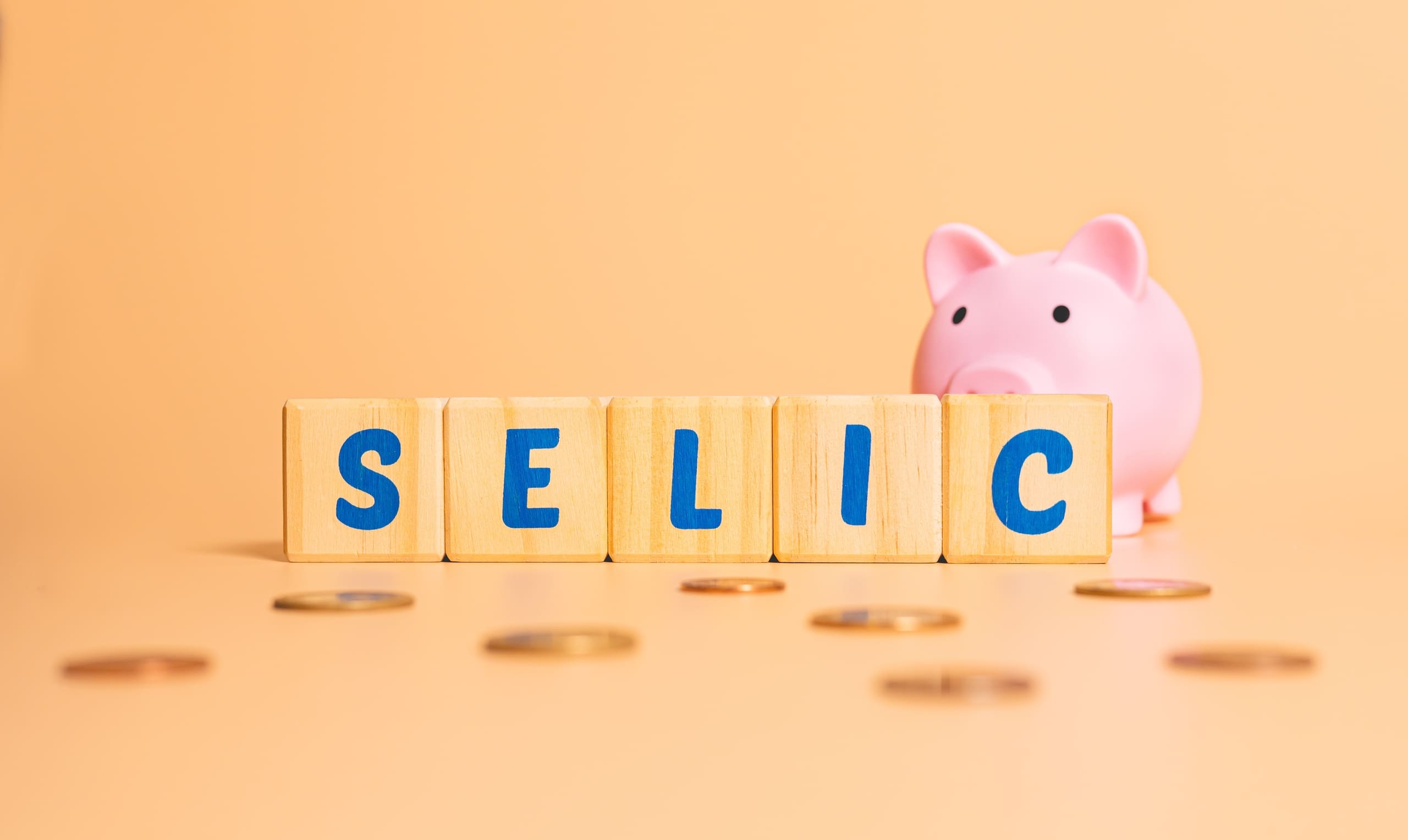 Onde é melhor investir com a Selic acima de 10%? - FinanZero
